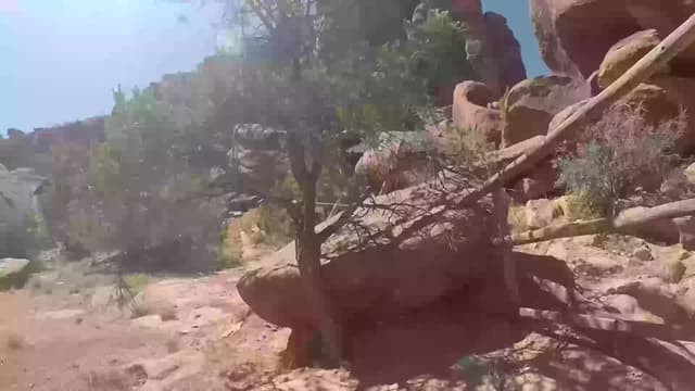 Discover the Enchanting Beauty of Big Dominguez Canyon Swimming Hole in ...